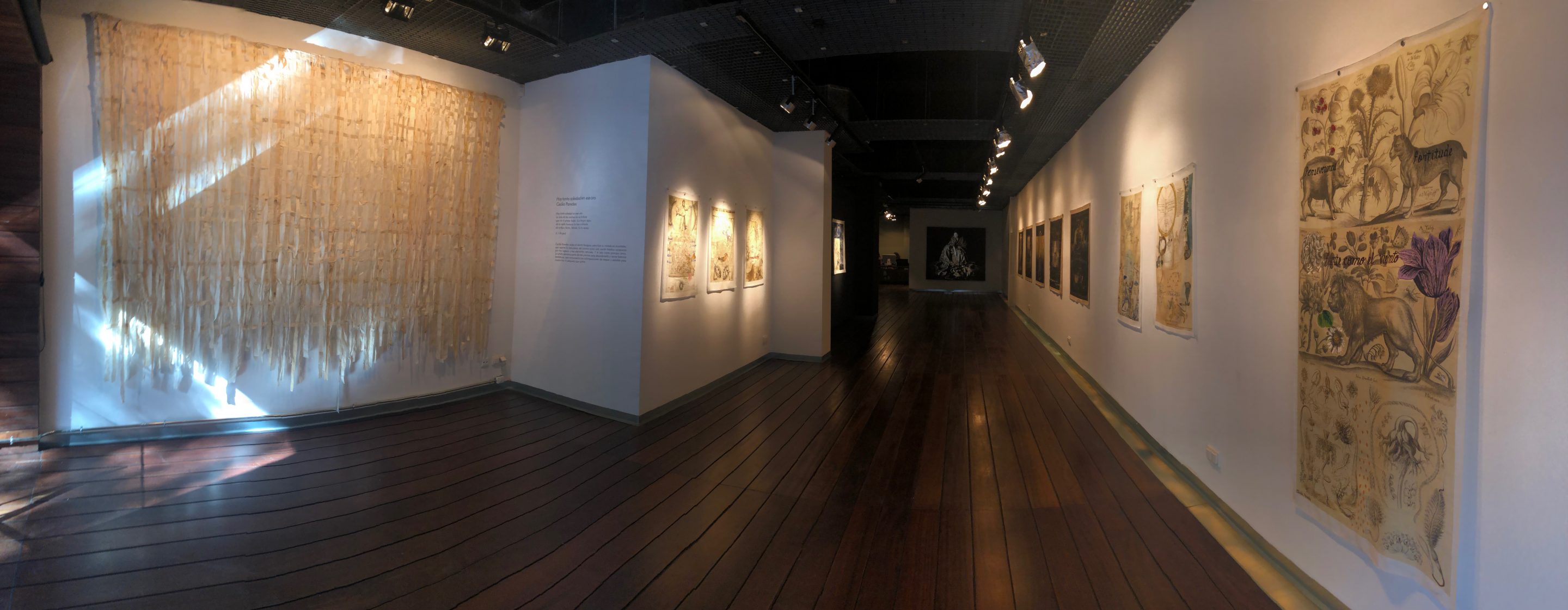 Galería virtual - Blanca Berlín